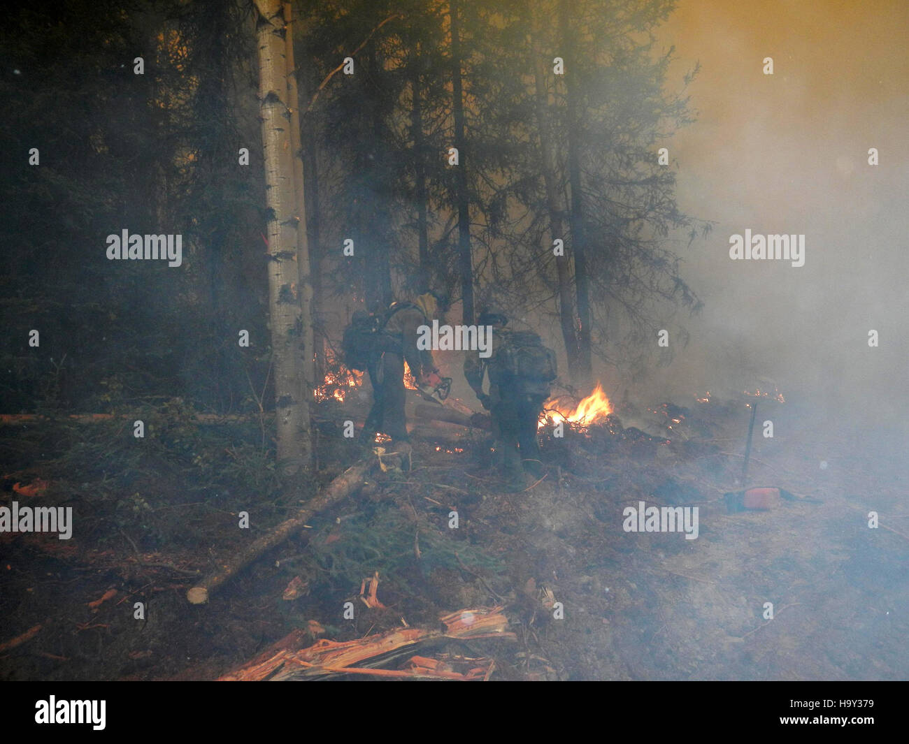 The USDA's management of forest fires at Stewart Creek highlights the ...