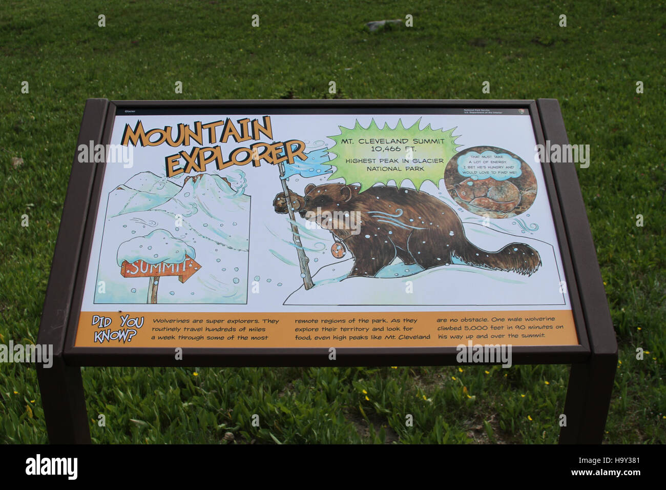 The Superpowers exhibit at Glacier National Park features the Wolverine ...