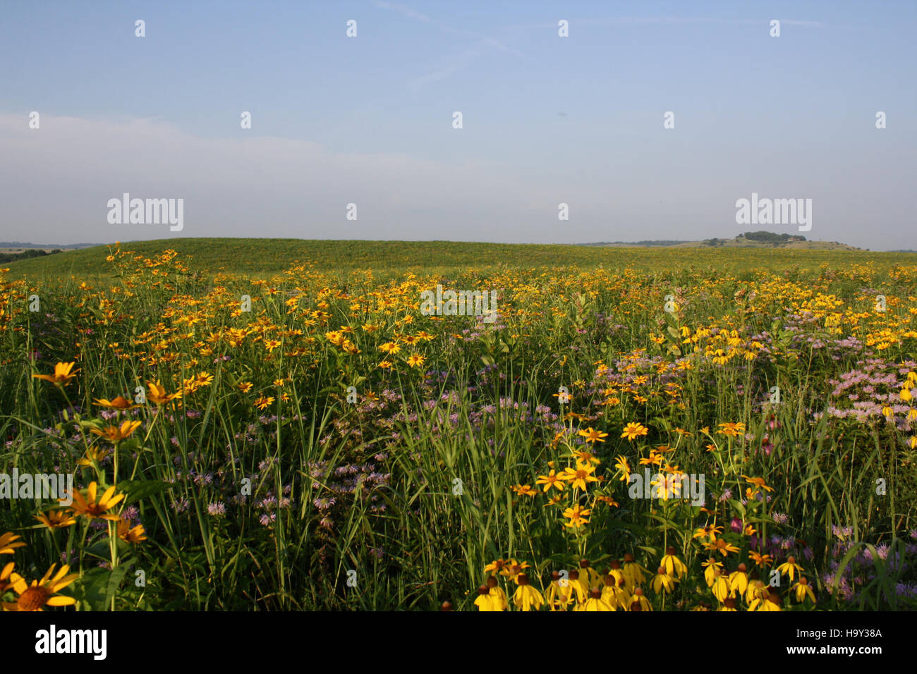 The Wilds is a wildlife conservation center dedicated to preserving ...