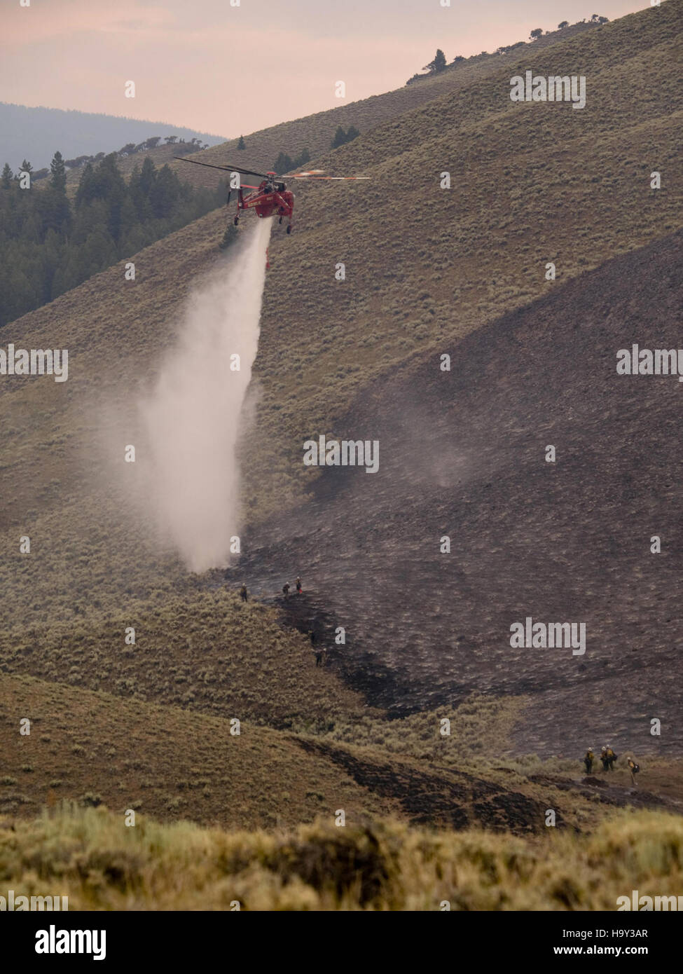 This image depicts the aftermath of the Lodgepole Fire, showing the ...
