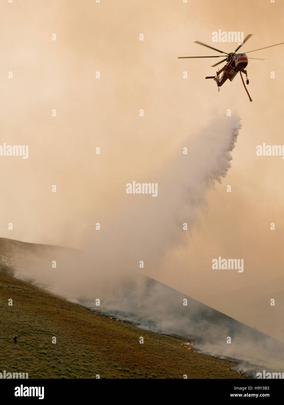 The Lodgepole Fire, part of the USDA’s fire management efforts ...