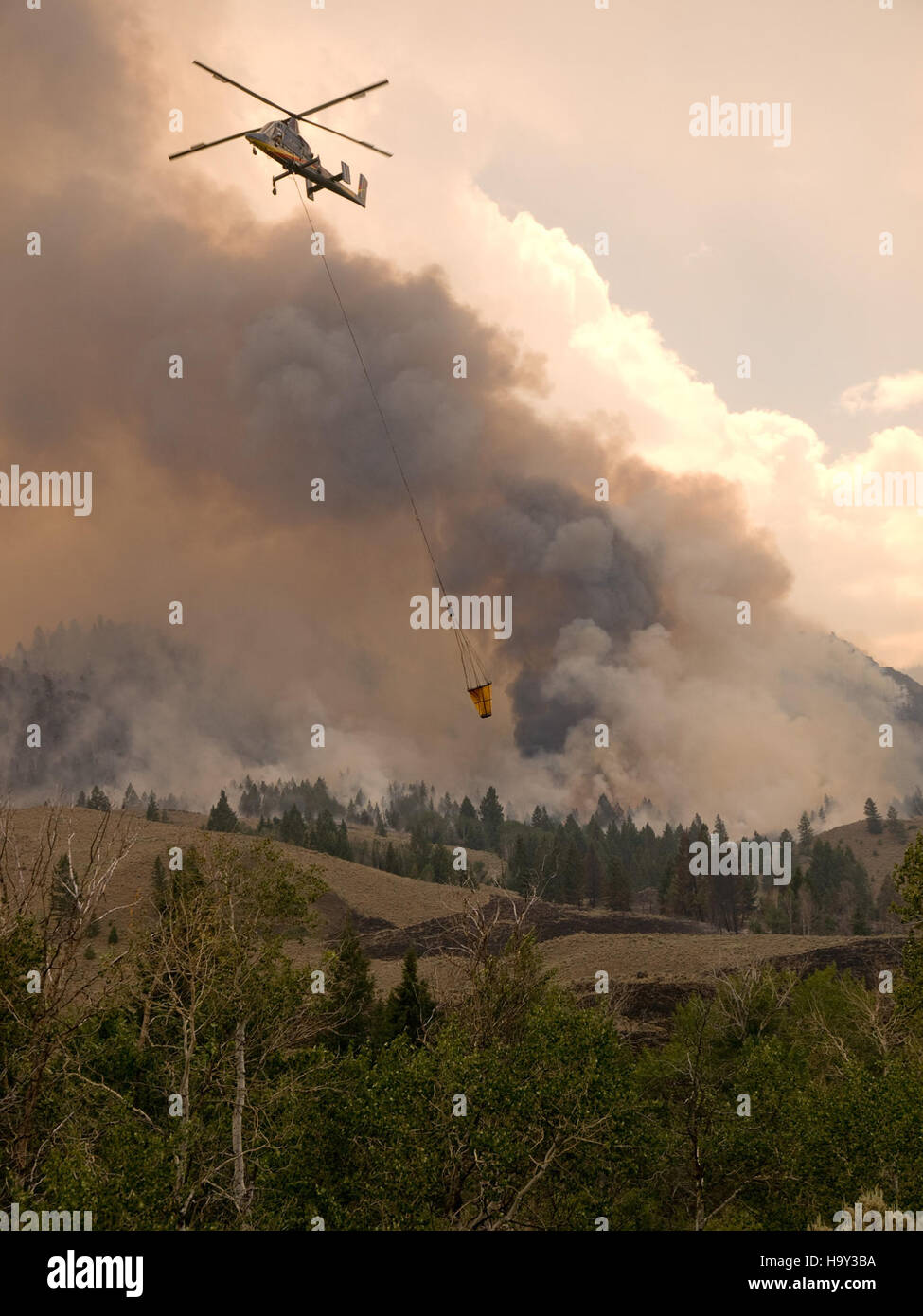 The Lodgepole Fire, which occurred in 2013, caused significant ...