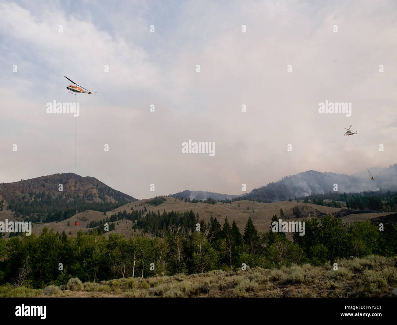 The Lodgepole Fire in Yellowstone National Park caused significant ...