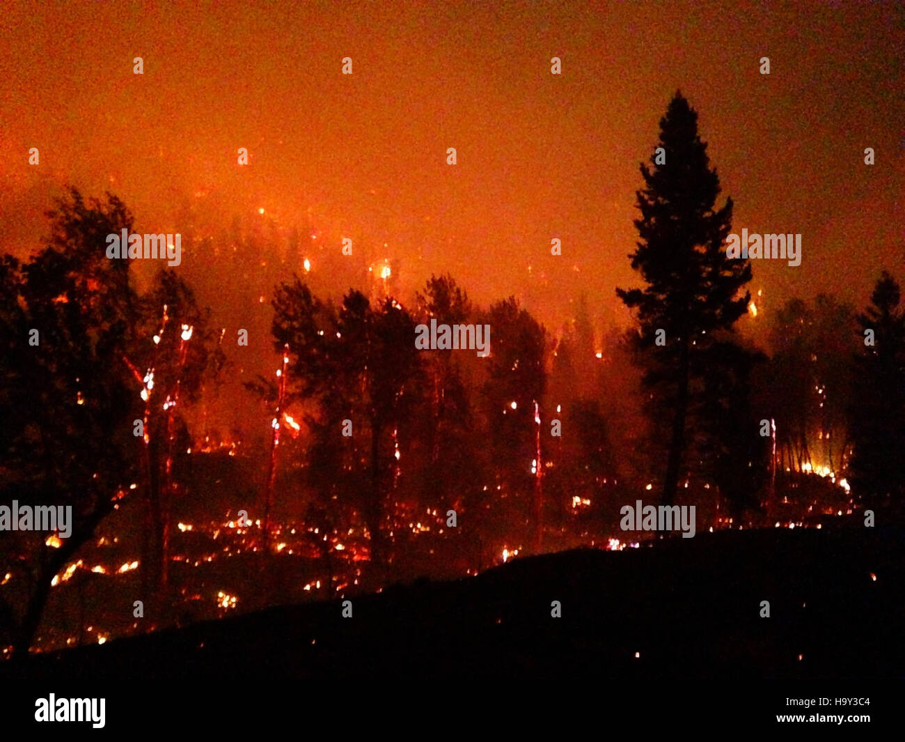 This image shows the aftermath of the Lodgepole Fire, a forest fire ...