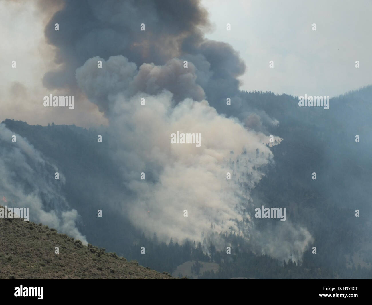 Prevention of fires hi-res stock photography and images - Alamy