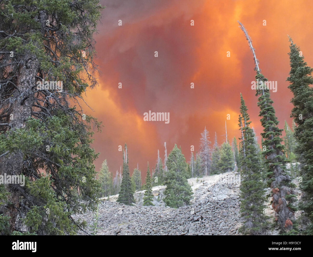 Fire department report hi-res stock photography and images - Alamy