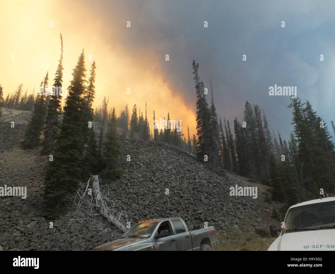 The Lodgepole Fire in a national forest serves as a case study in ...