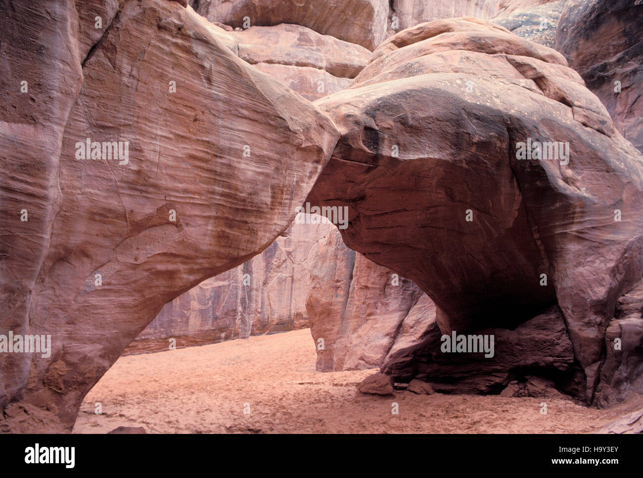 Arch formed hi-res stock photography and images - Alamy