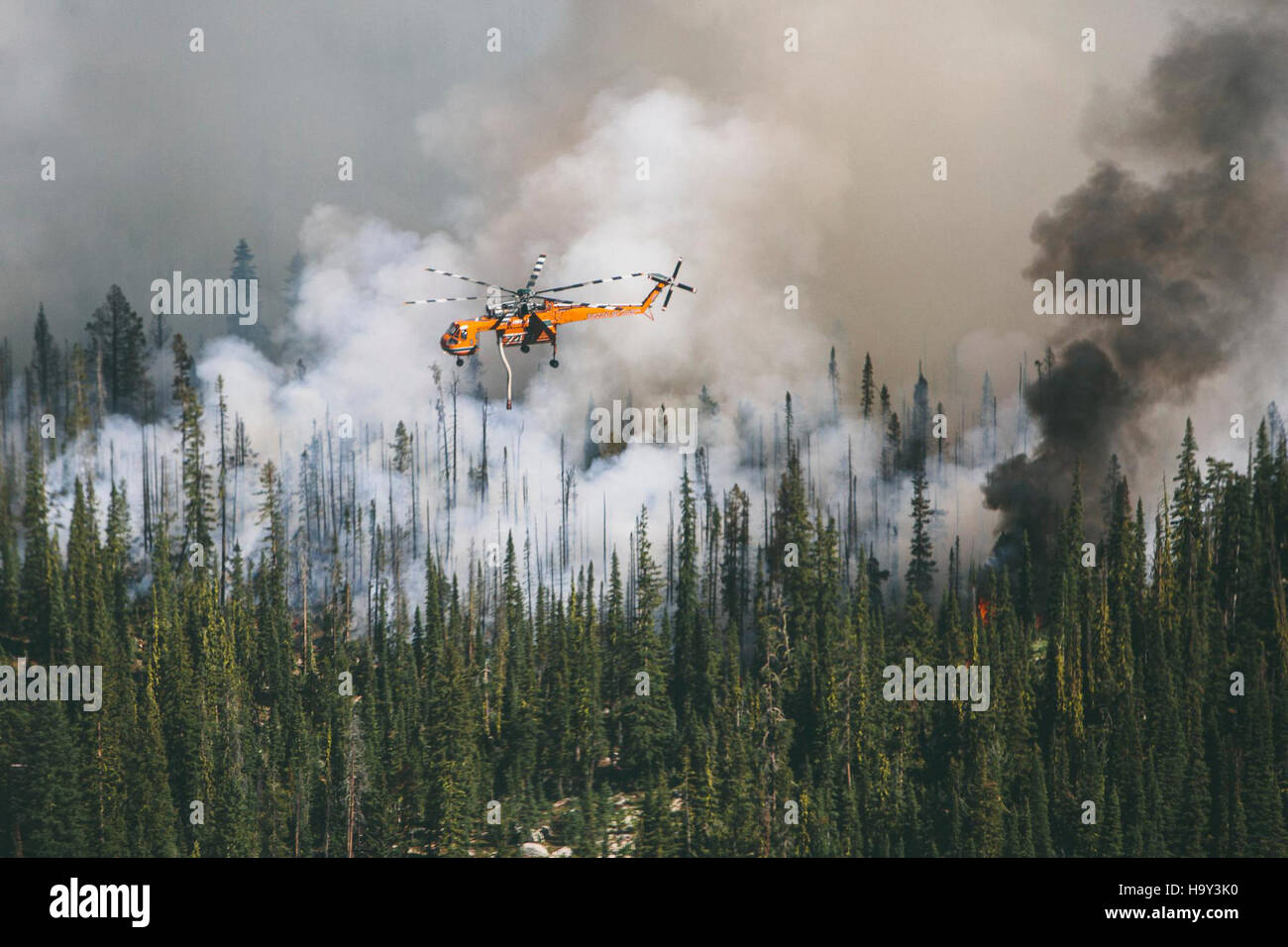 The Forest Fire Ridge Fire, an incident managed by the U.S. Forest ...