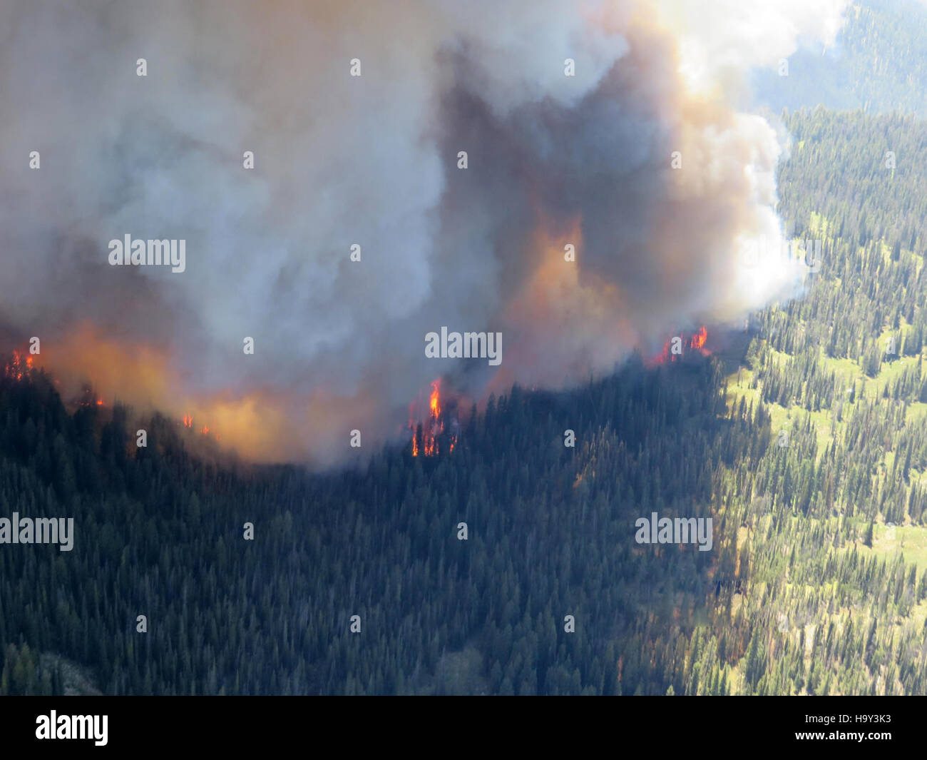 The Forest Fire Ridge Fire was a significant wildfire event in 2013 ...