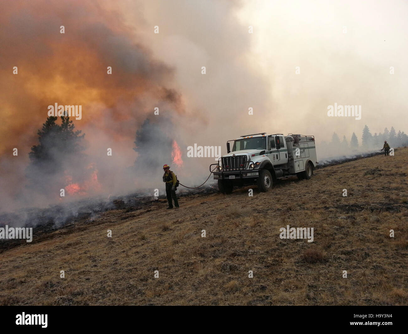 A USDA image depicting the aftermath of a forest fire near Mile Marker ...