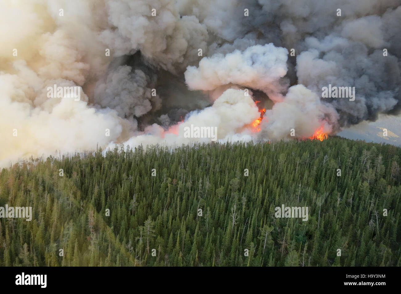 The USDA responds to the Moose Meadow Fire, emphasizing the role of ...