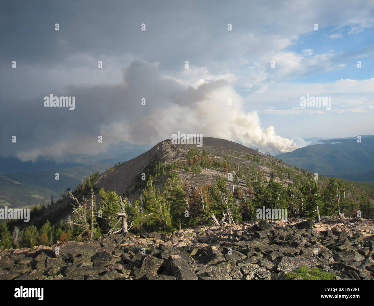The Moose Meadow Fire, a forest fire that occurred in the U.S., was ...