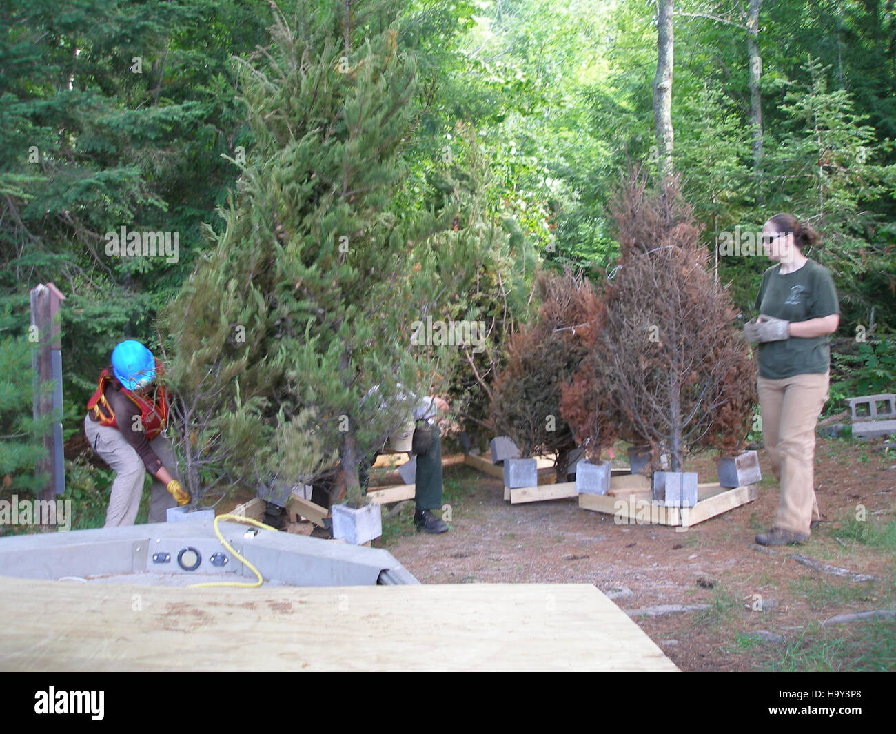 Recycle 1 hi-res stock photography and images - Alamy