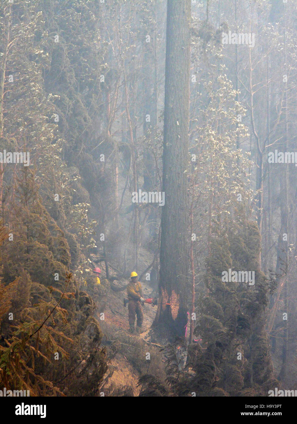 The Brimstone Fire in California was a major wildfire that impacted ...