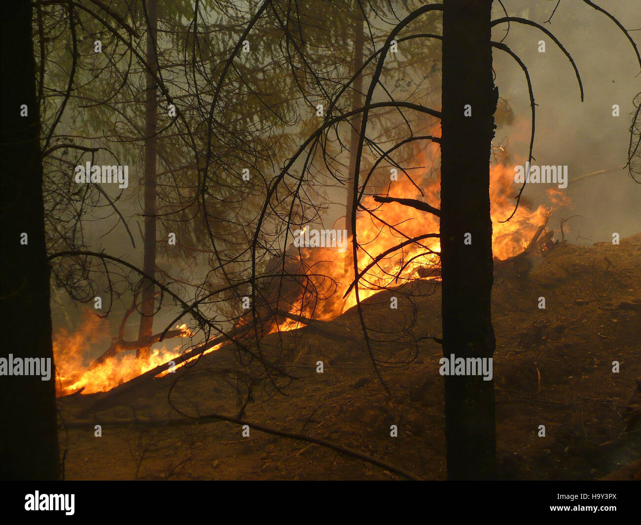 This image depicts the Brimstone Fire, a wildfire that occurred in ...