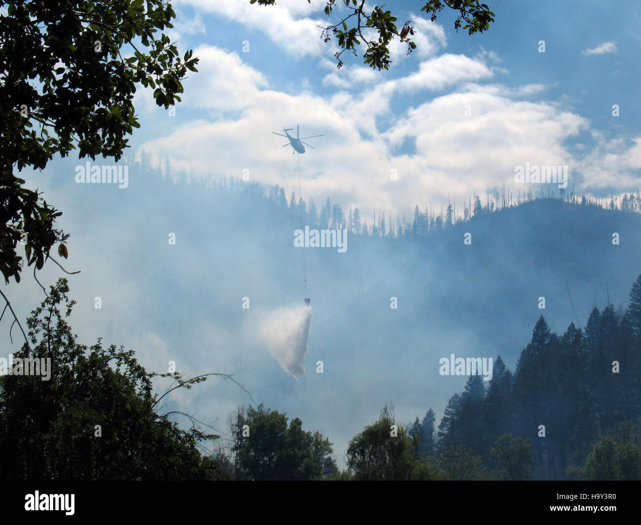 The Labrador Fire, a significant forest fire, illustrates the ...