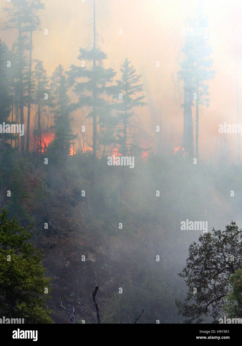 The Labrador Fire, a significant forest fire event, illustrates the ...