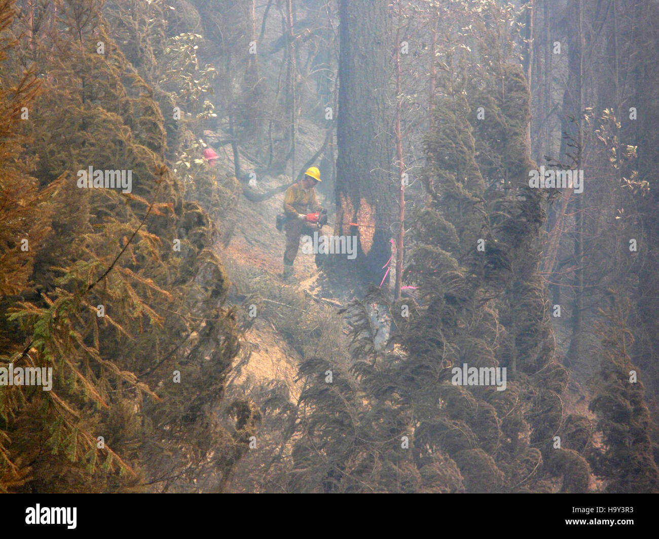 The Brimstone Fire in a forested area highlights the challenges of ...