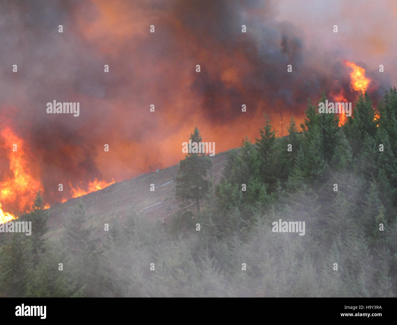 The Douglas Complex Fire, a significant forest fire event, demonstrates ...