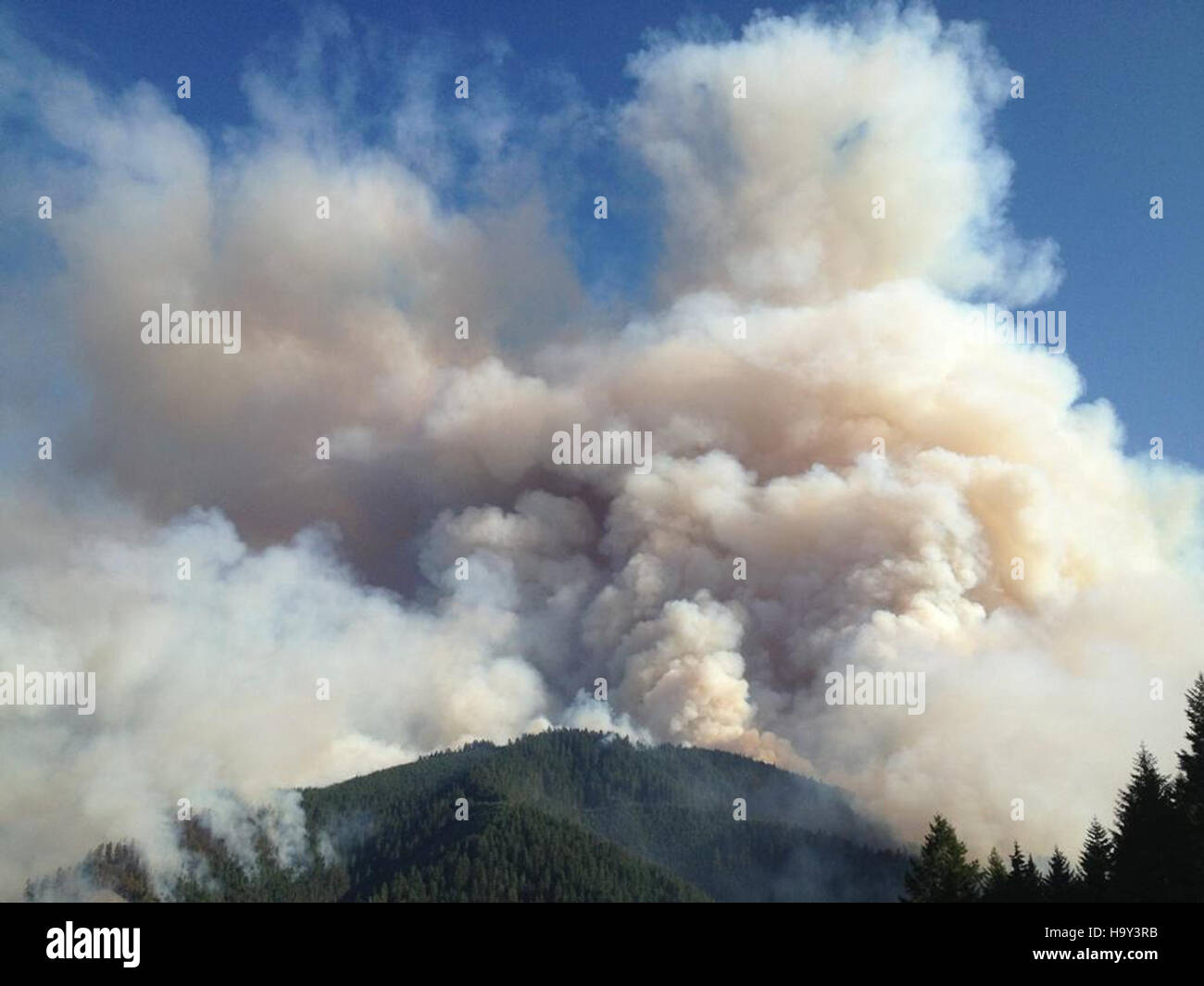 The Douglas Complex Fire, a forest fire in Oregon, impacted thousands ...
