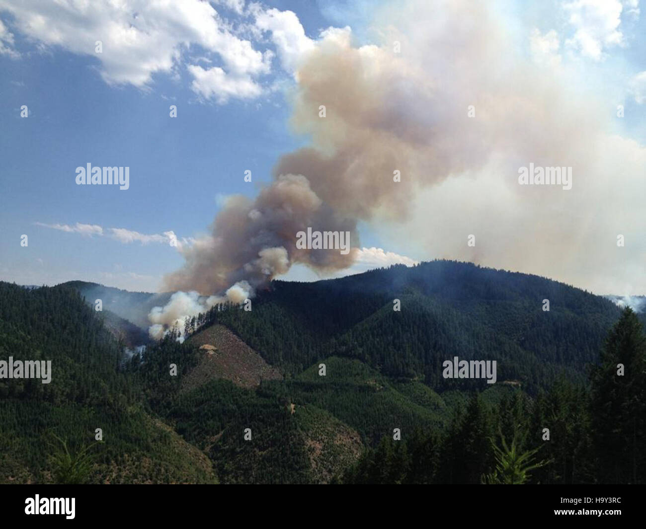Douglas complex fire hi-res stock photography and images - Alamy