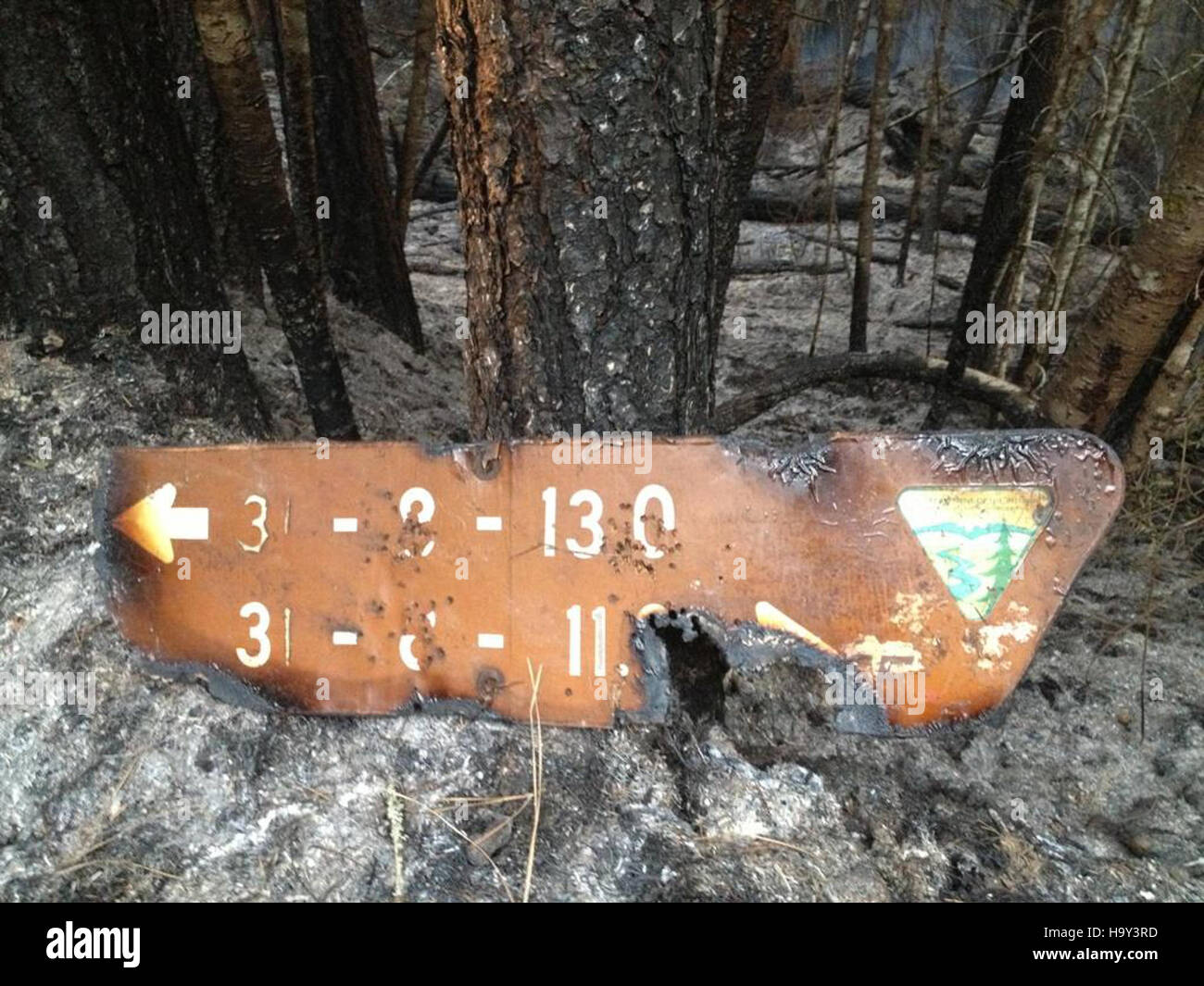 The Douglas Complex Fire, a major forest fire, highlights the U.S ...