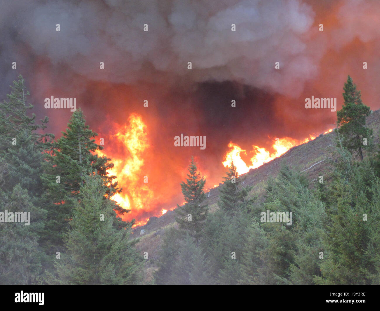 The Douglas Complex Fire, a major wildfire in Oregon, was part of the ...