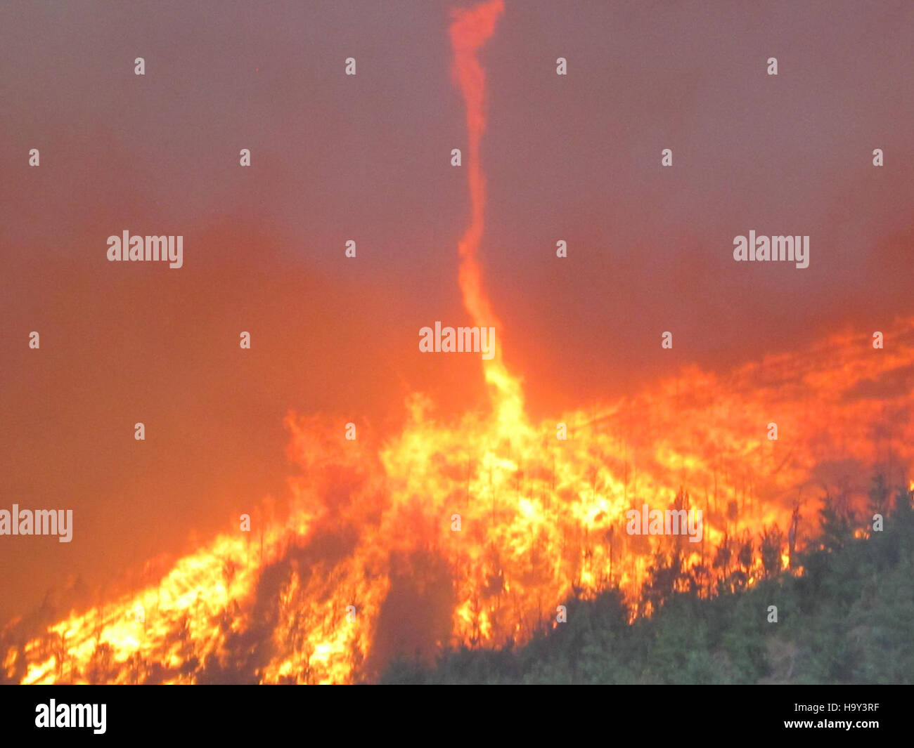 Douglas complex fire hi-res stock photography and images - Alamy