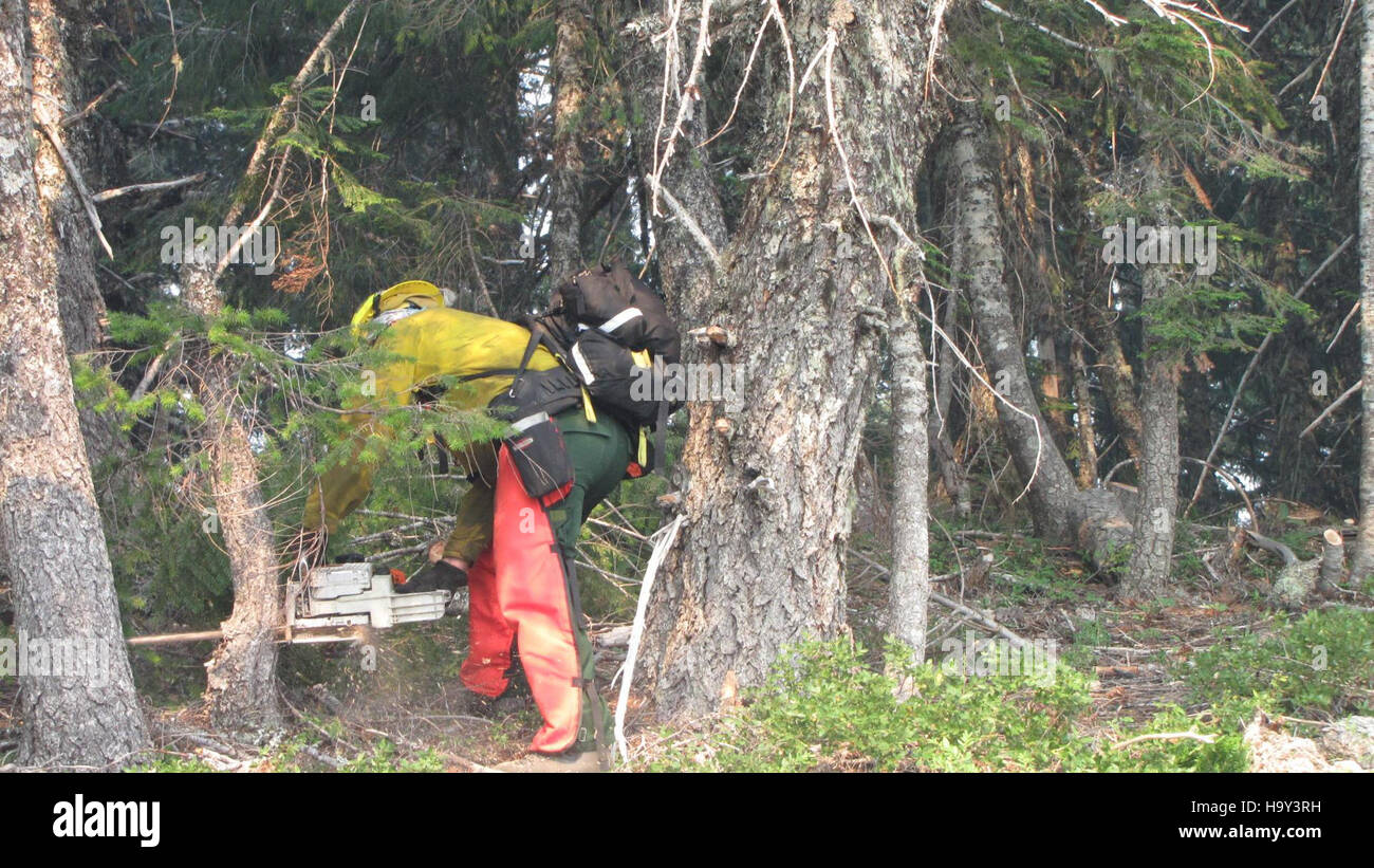 The Big Windy Complex Fires, including the Big Windy, Calvert Peak, and ...