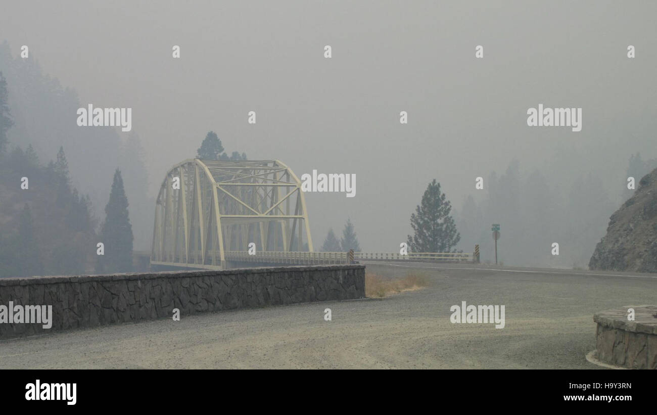 The USDA's efforts in managing the Big Windy Complex Fires focused on ...