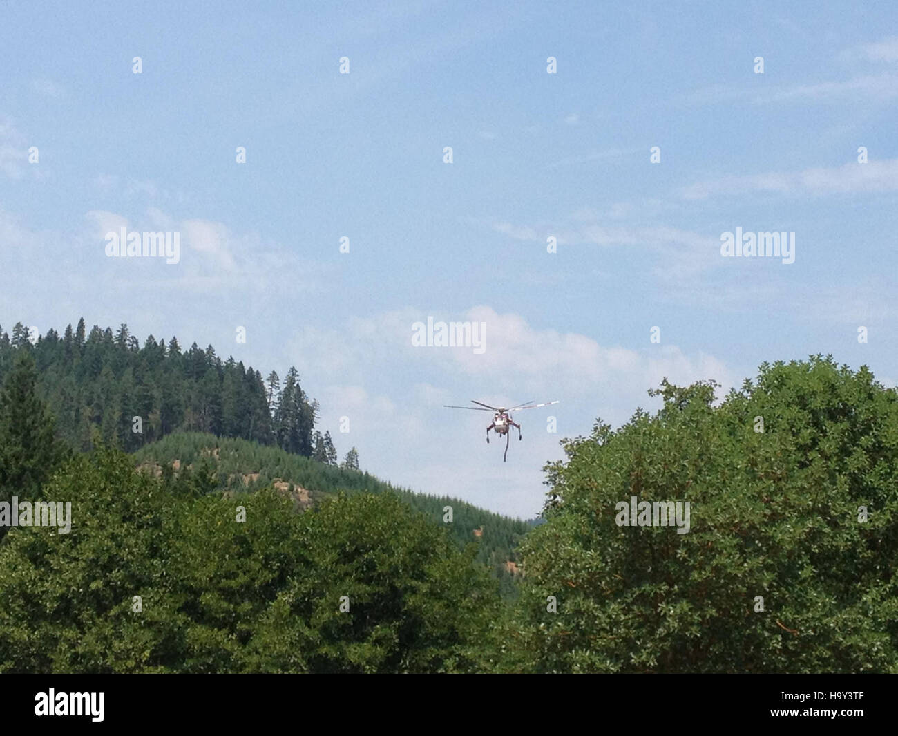 Douglas complex fire hi-res stock photography and images - Alamy