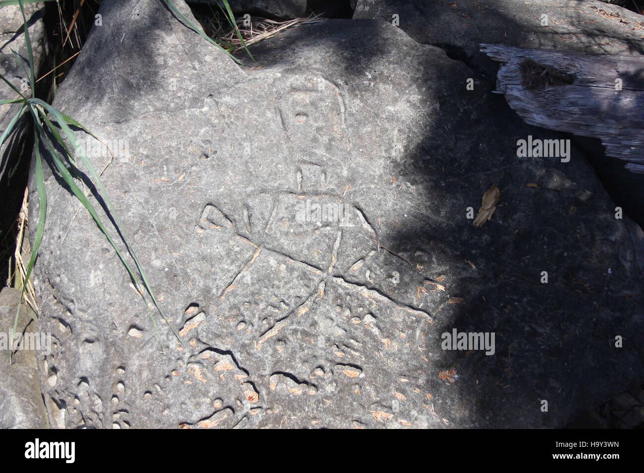 Petroglyphs at Olympic National Park depict ancient figures and paddles ...