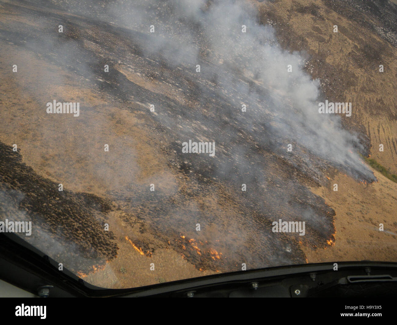 A forest fire, known as the Colockum Tarps Fire, occurred in the region ...