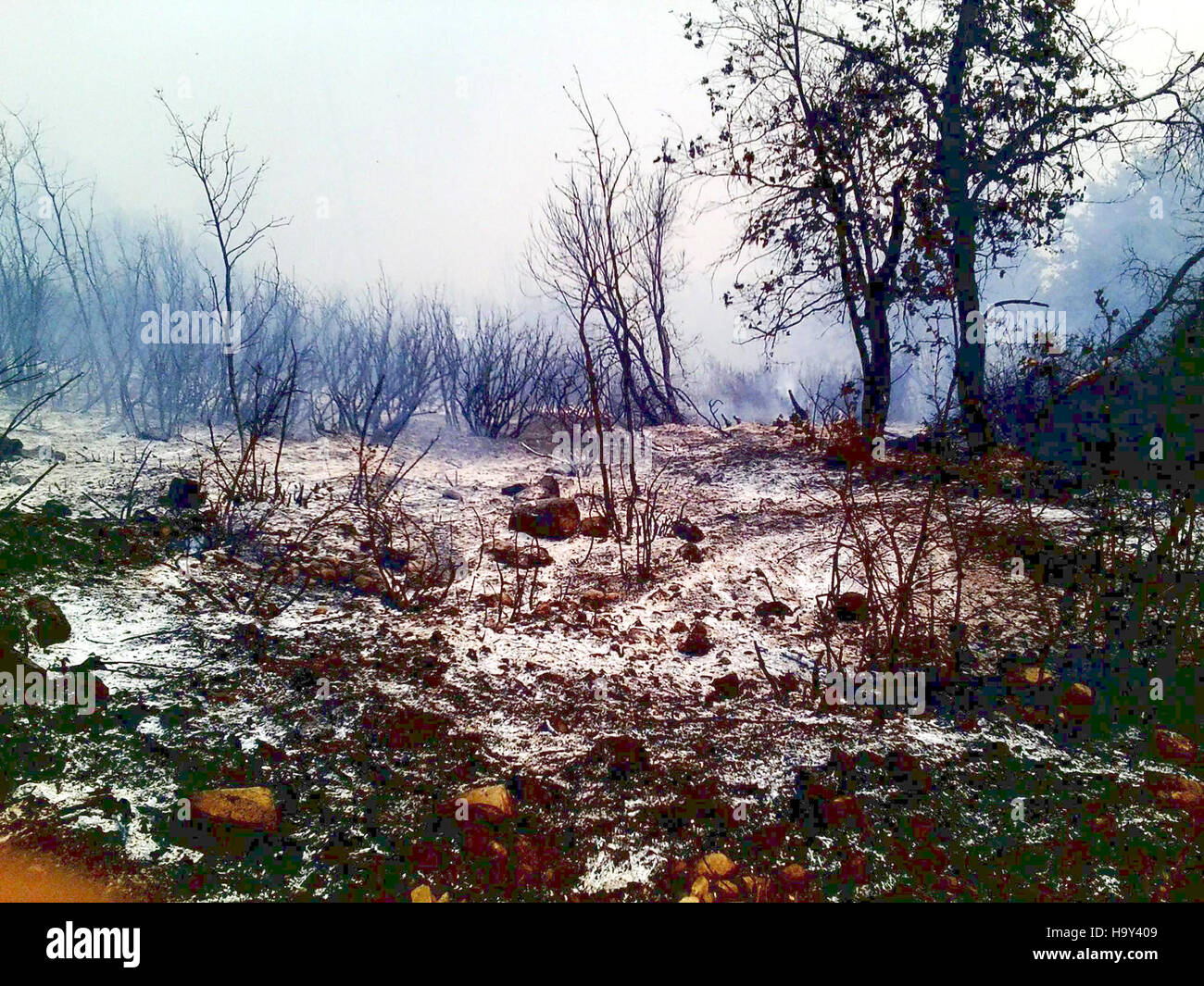 The Salmon River Fire, a significant forest fire, impacted the ...