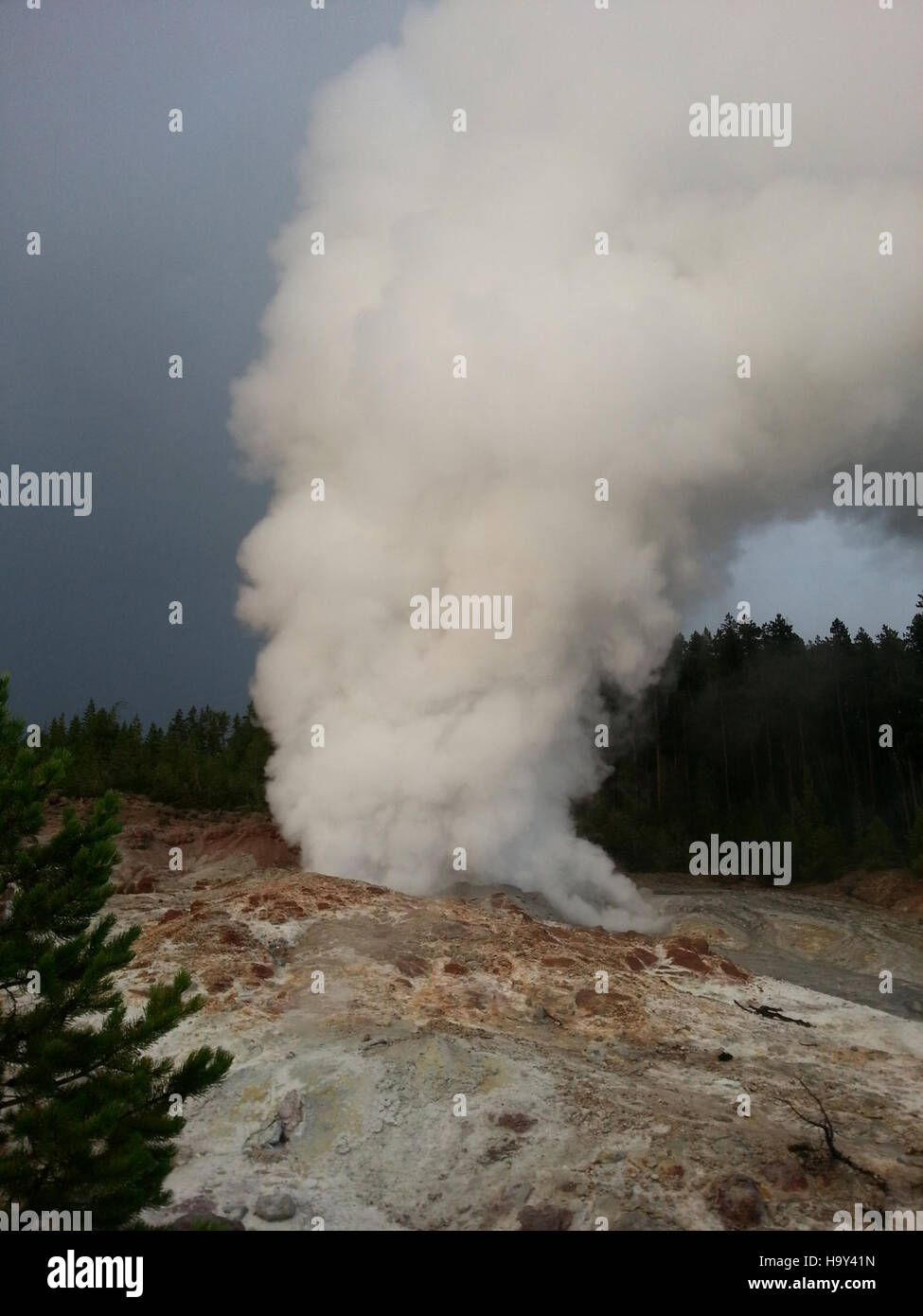 Steamboat Geyser, located in Yellowstone National Park, is one of the ...