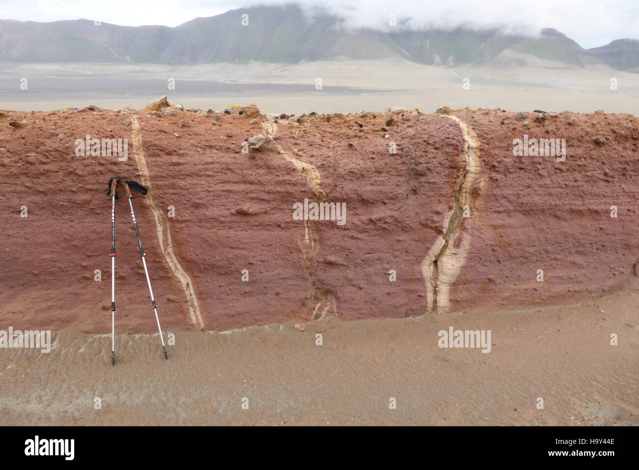 Exposed fumarole pipes in the Valley of Ten Thousand Smokes near Mt ...