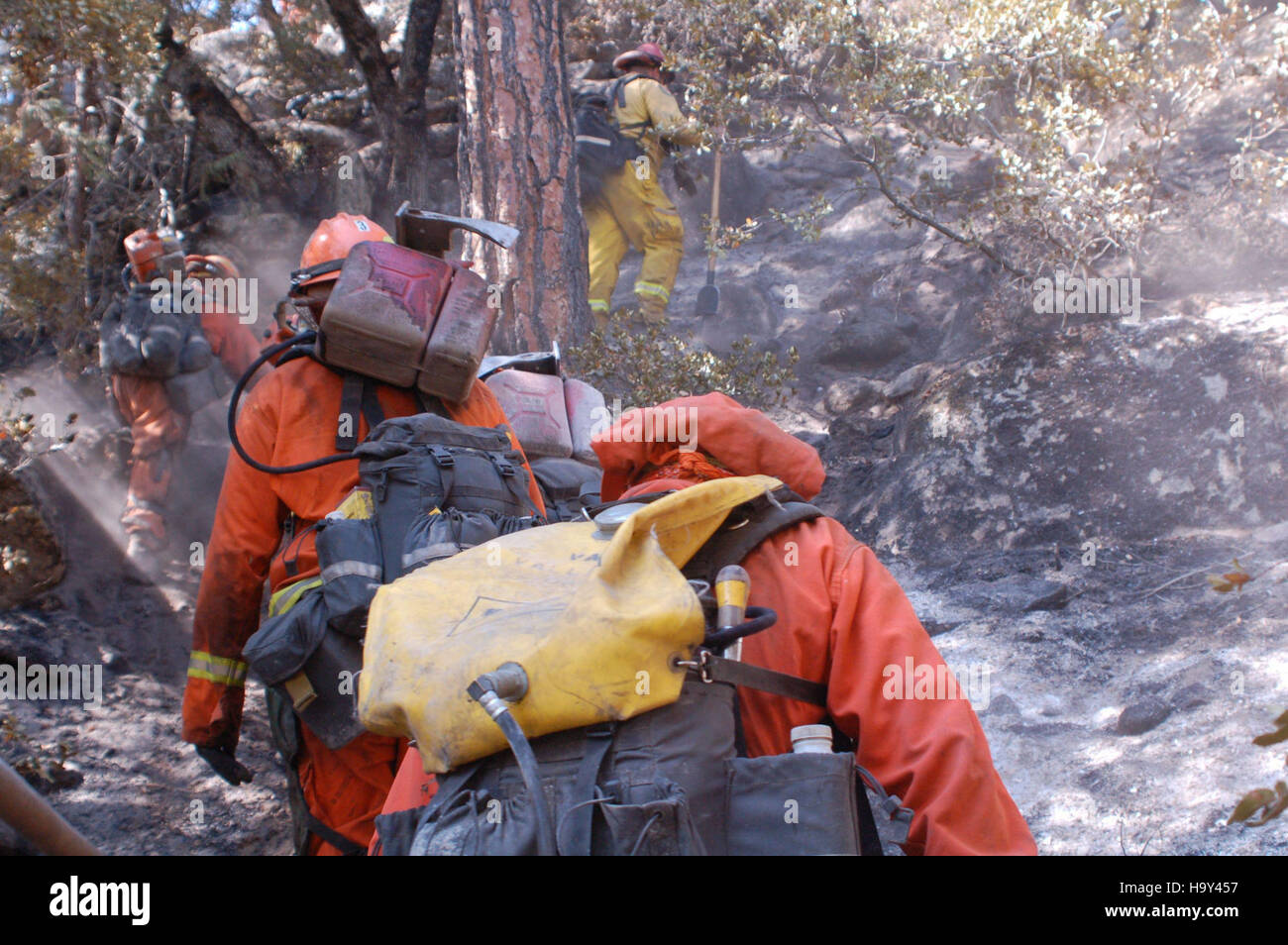 This image depicts the aftermath of the Power Fire, a forest fire that ...