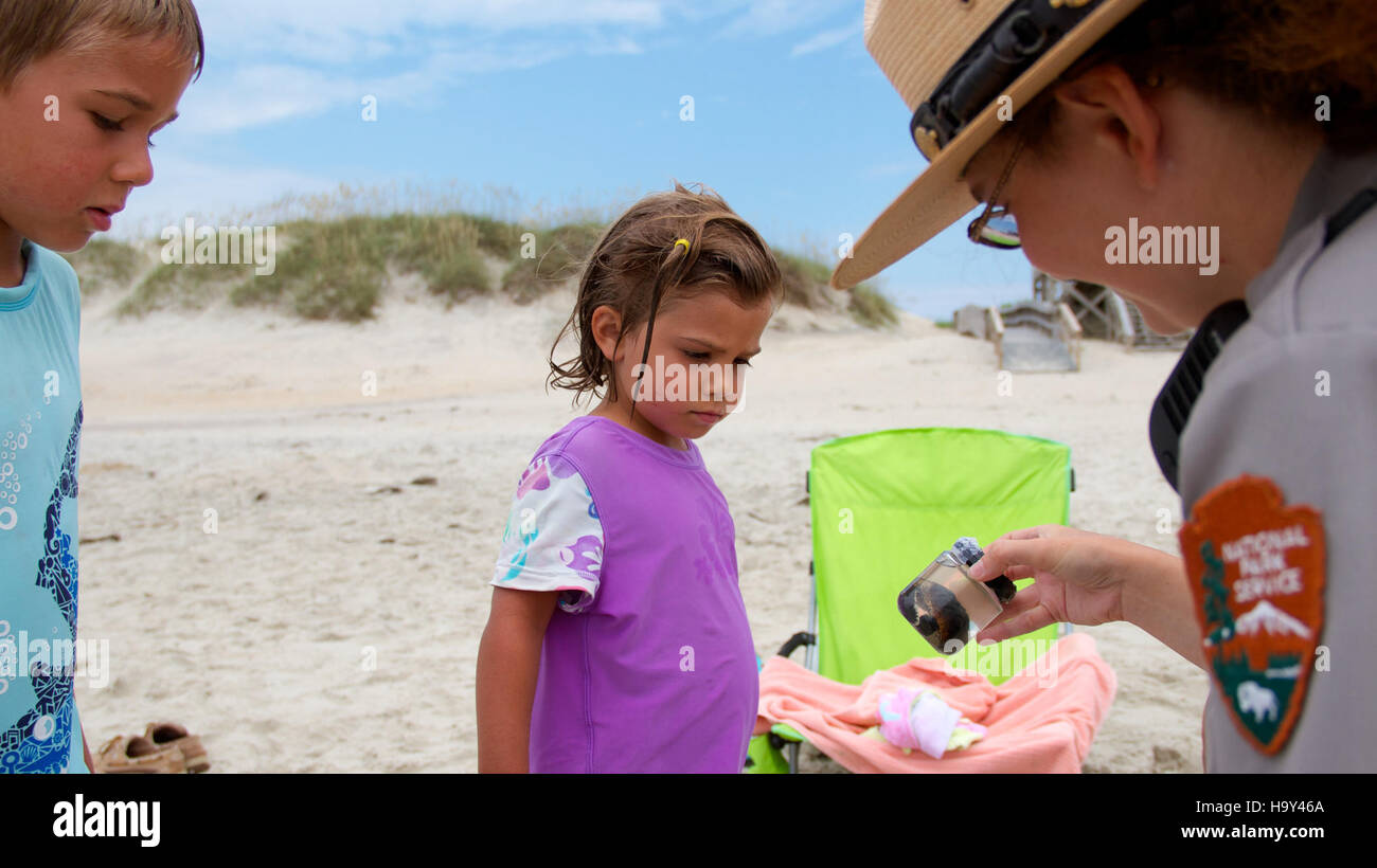 capehatterasnps 10554371675 Beach Access Information Ranger Stock Photo ...