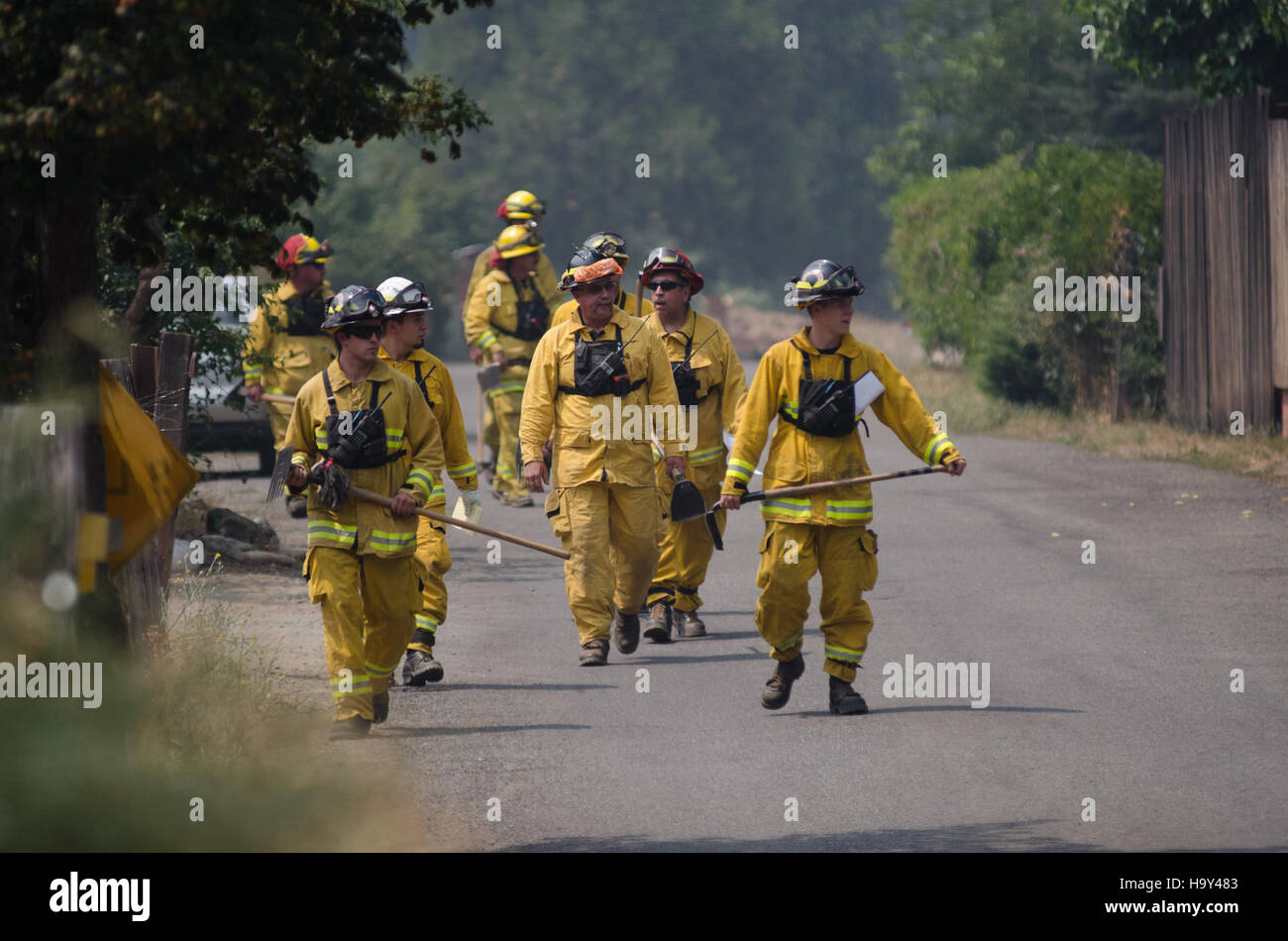 The Salmon River Complex Wildlands Fire was managed by the USDA Forest ...