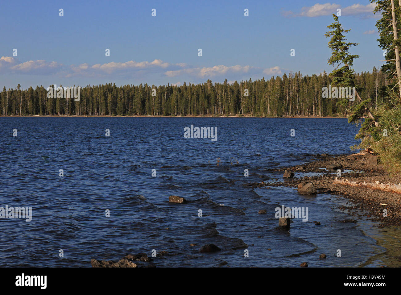 yellowstone Lewis Lake Stock Photo - Alamy