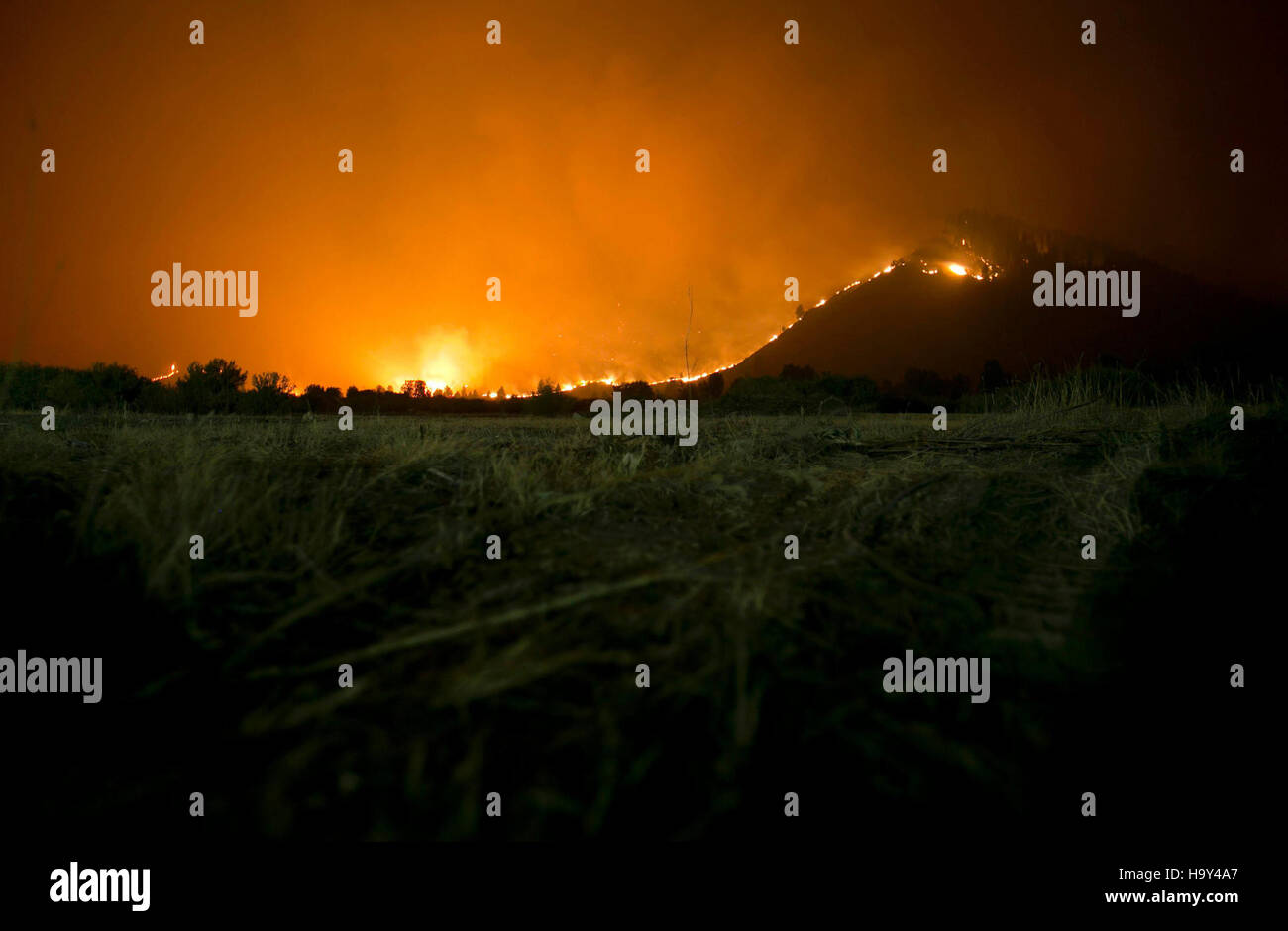 The Elk Complex Fire in Oregon was a large forest fire that required ...