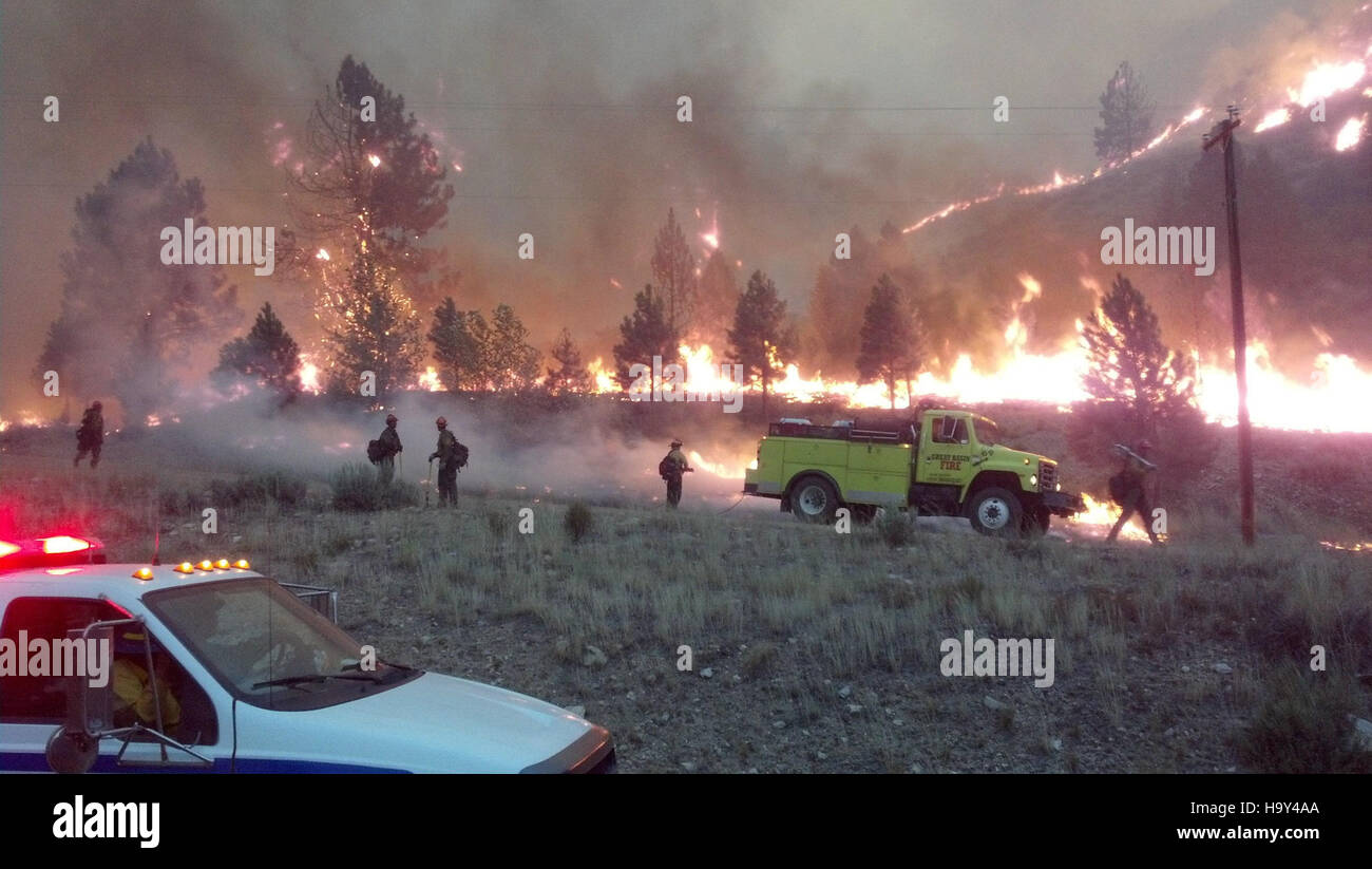 The Elk Complex Fire, one of the largest forest fires in the U.S., was ...