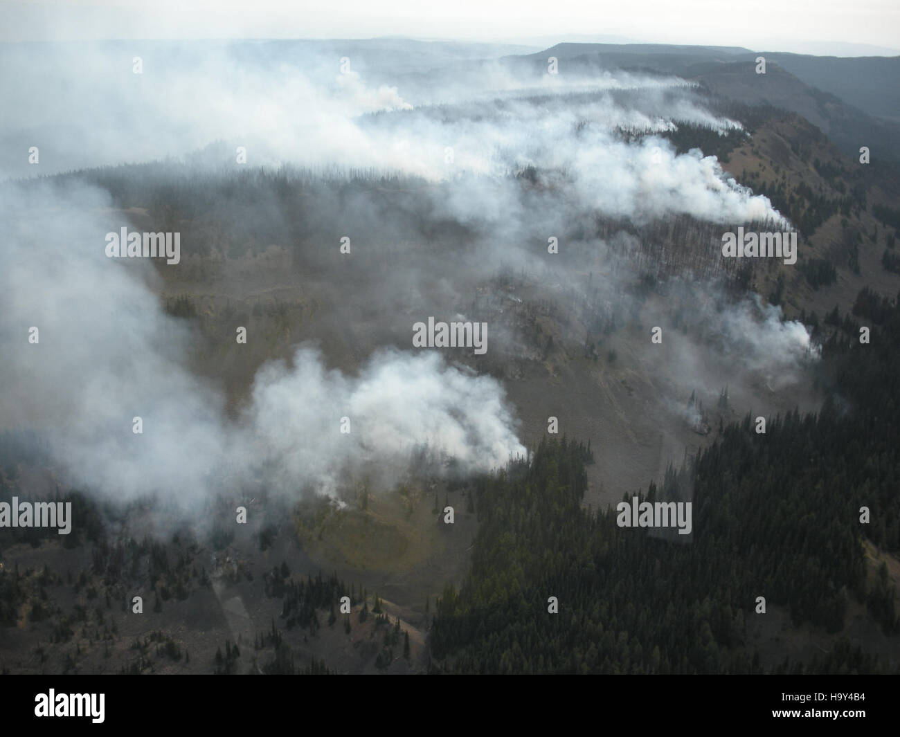 The Rim Fire, a major wildfire in California, required response from ...