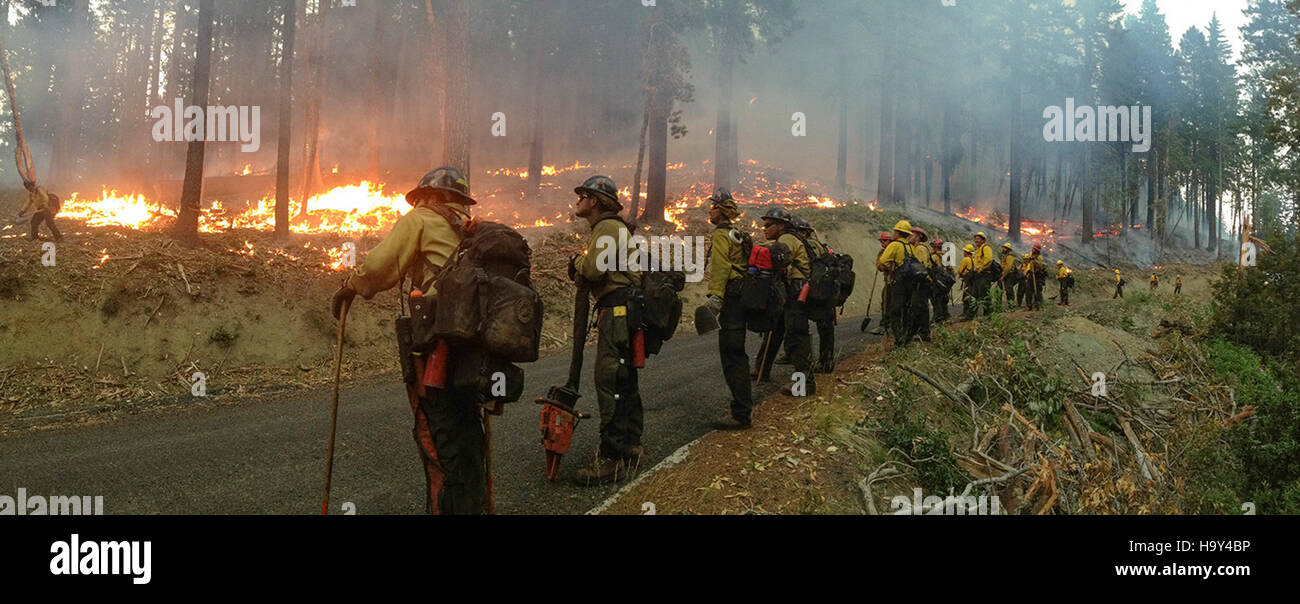 The Geronimo Interagency Hotshot Crew is seen here along a forest road ...