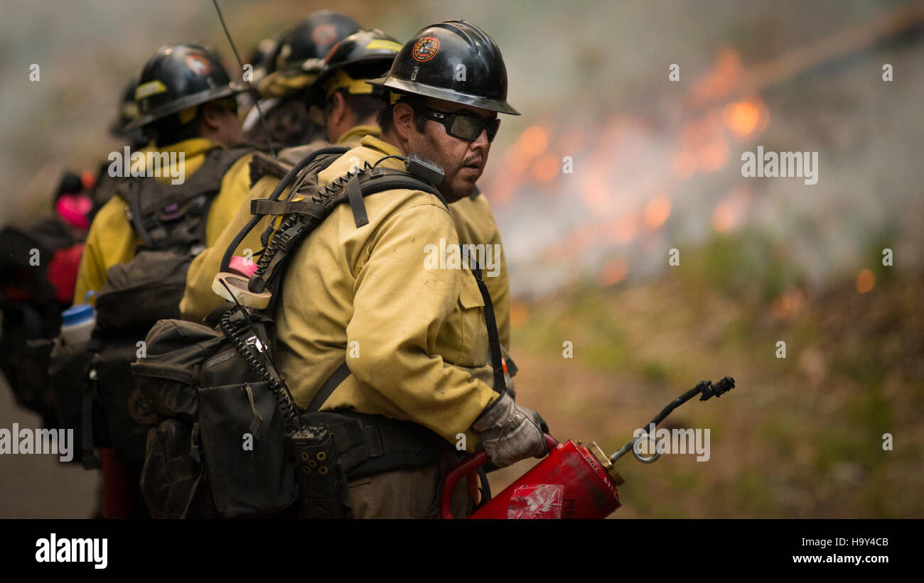 The Big Windy Complex Wildlands Fire in Galice, Oregon, managed by the ...