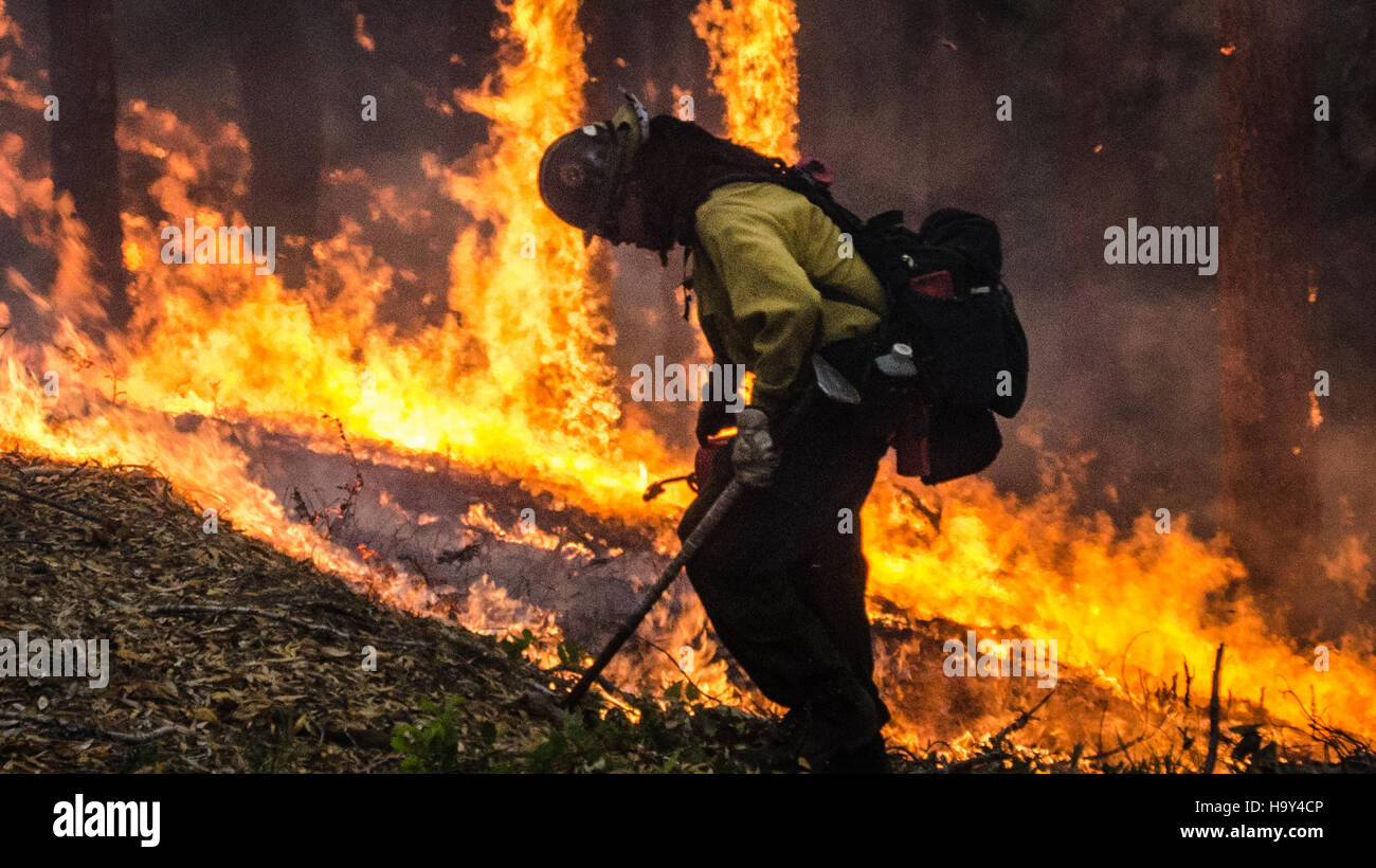 The Big Windy Complex Wildlands Fire in Oregon, managed by the USDA ...