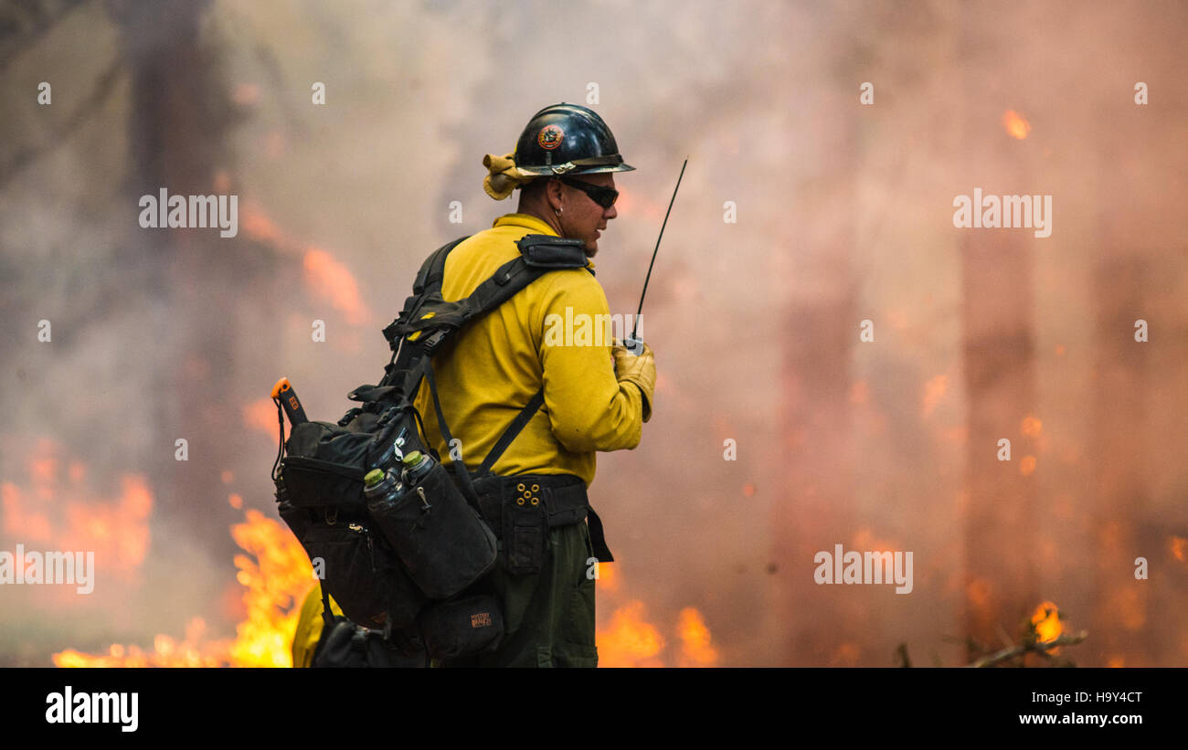 The Big Windy Complex Wildlands Fire, located in Galice and Merlin ...