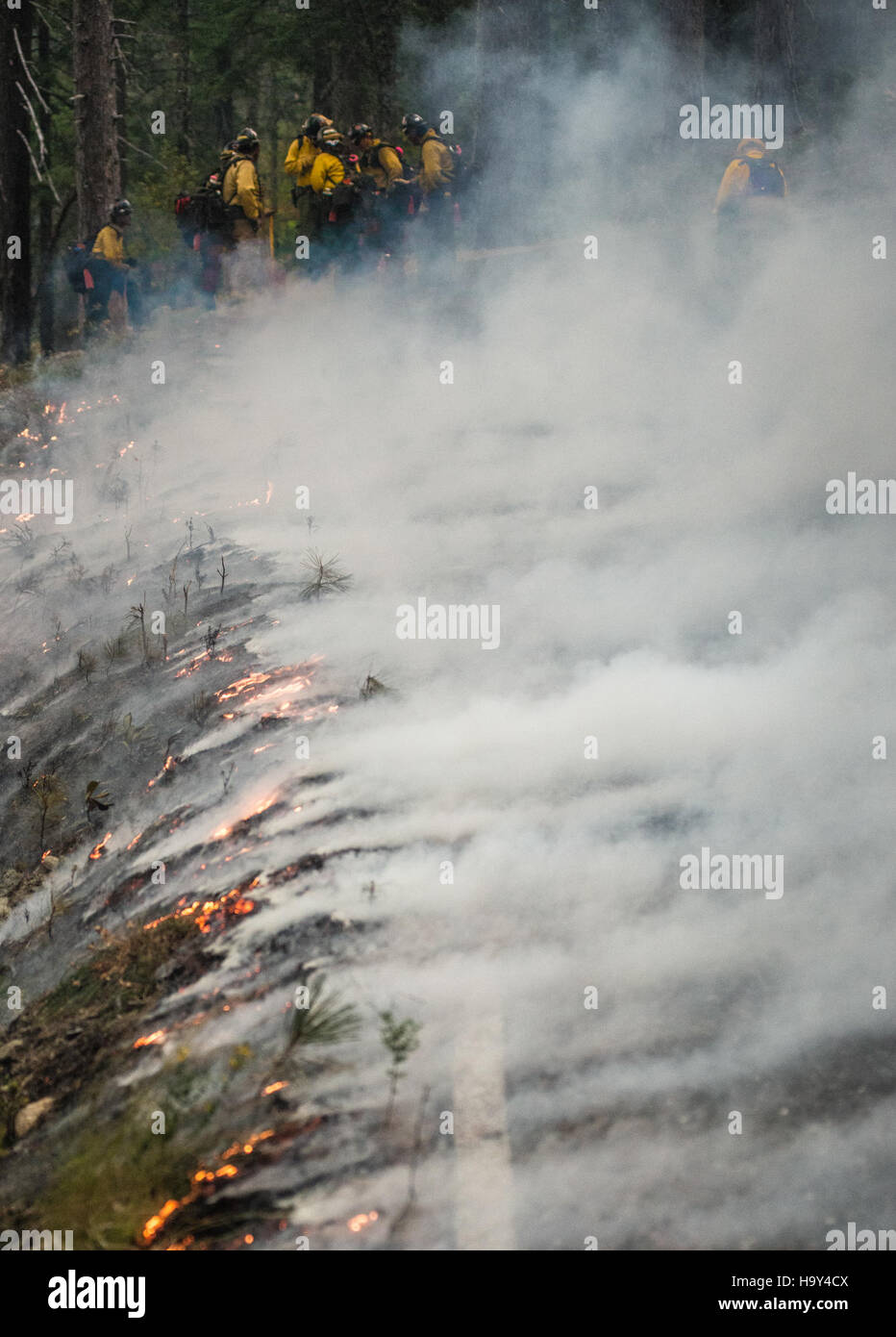 The Big Windy Complex Wildlands Fire in Galice, Oregon, was a ...