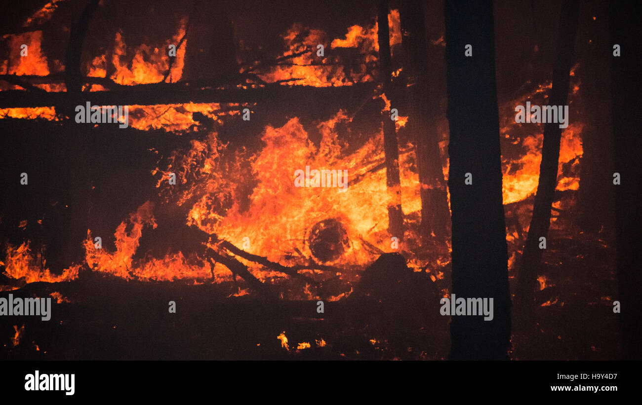 The Big Windy Complex Wildlands Fire in Galice, Oregon, showing the ...